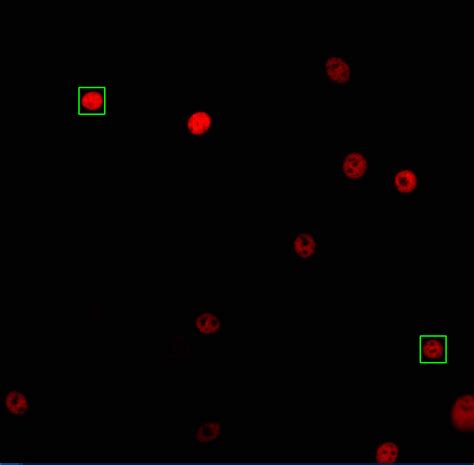 C Opencv Template Match Similar Object Stack Overflow