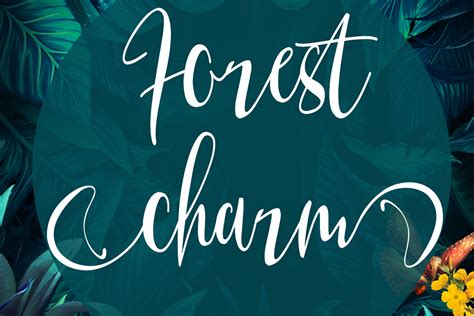 Generating Script Font Studio