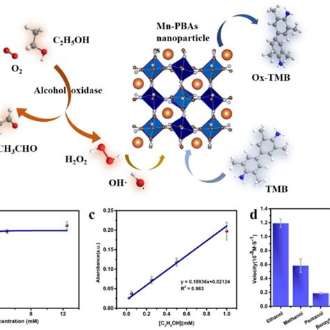 A Schematic Illustration Of The Catalytic Detection Of Mn Pba Download Scientific Diagram