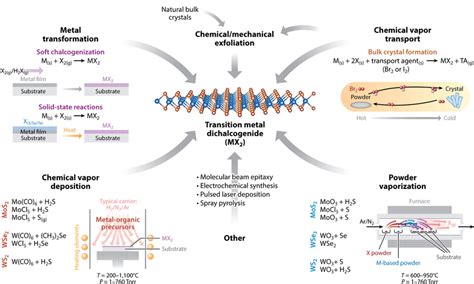 A Trigonal Prismatic Coordinated 2h Wte 2 Structure And B Download Scientific Diagram