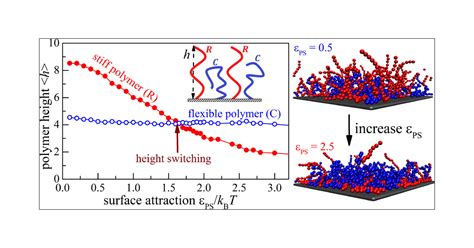 Height Switching In Mixed Polymer Brushes With Polymers Of Different