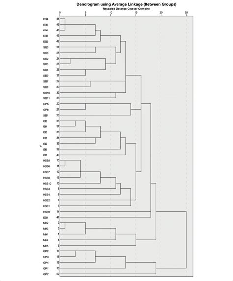 Dendrogram Showing The Clustering Of People S Perceptions On The Download Scientific Diagram
