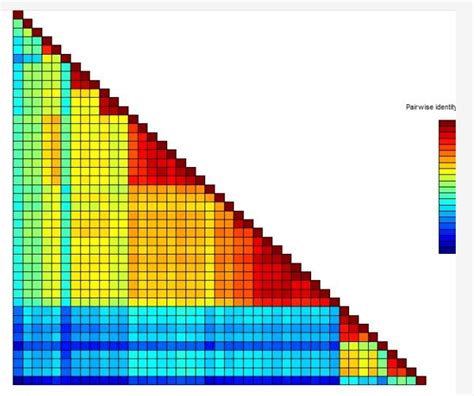 how to indicate pairwise sequence identity on sdt generated matrix