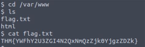 Tryhackme Upload Vulnerabilities — Walkthrough