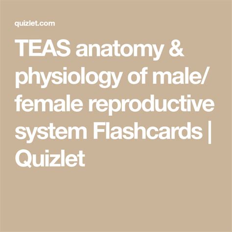 Teas Anatomy And Physiology Of Male Female Reproductive System Flashcards Quizlet Female