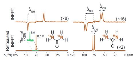 345 13c And 15n Nmr Detection Of Metabolites Via Relayed