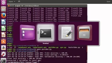 Tensorflow Deep Learning Project 3 Video Analysis Youtube