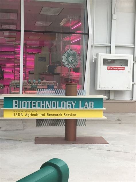 Hidden Mickeys At Epcot Where To Find Disneys Best Kept Secrets The Life Of Spicers