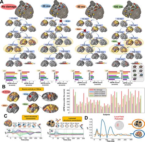 Figures And Data In Tms Evoked Responses Are Driven By Recurrent Large Scale Network Dynamics
