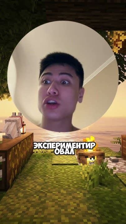 ссылка на тгк в шапке профиля youtube