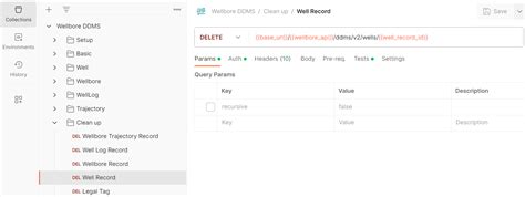 Tutorial Work With Well Data Records By Using Wellbore Ddms Apis