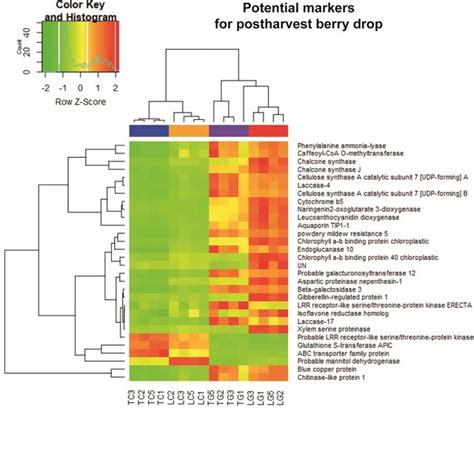 Clustering And Heatmap Of Transcriptomic Data From Potential Candidate