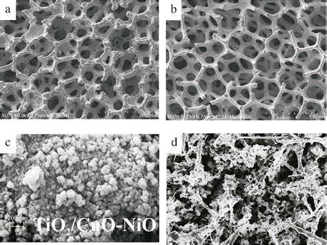 Sem Image Of A 100 Ppi Cu Foam Adapted From [46] B 100 Ppi Ni