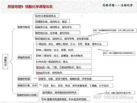 生物化学思维导图完整版建议收藏 知乎