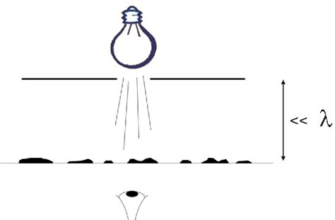 Figure 11 From Apertureless Scanning Near Field Optical Microscope