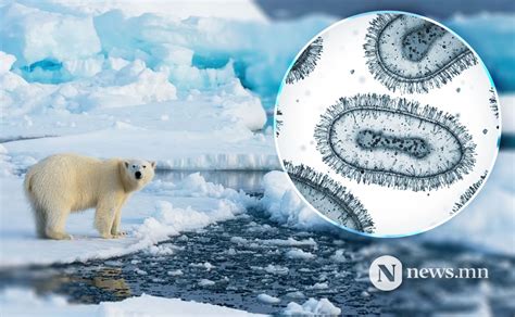 Дэлхийн дулаарал ба Пандоравирус News Mn