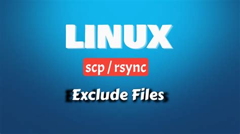 How To Exclude Directories Or Files When Copying To A Remote Machine