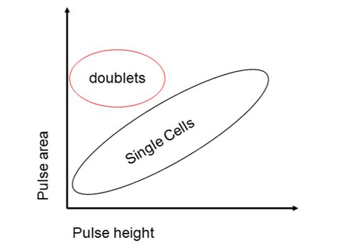 How To Identify And Remove Doublets Nanocellect