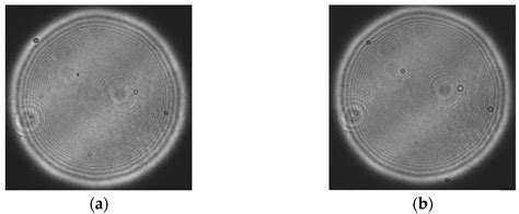 Sensors Free Full Text A Phase Recovery Technique Using The Genetic