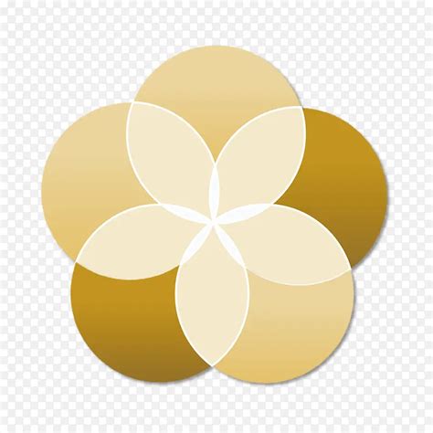 矢量花形ppt元素PNG图片素材下载 图片编号qwwbzvkl 免抠素材网