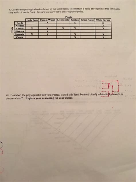 Solved 4 Use The Morphological Traits Shown In The Table