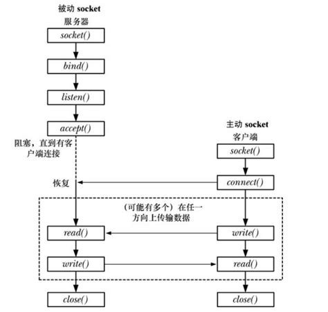 Linux系统编程学习笔记——socket编程基础linux Socket 监听 Lo Csdn博客