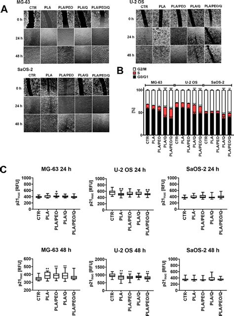 Quercetin Loaded Fiber Mediated Effects On Cell Migration A Cell Download Scientific Diagram