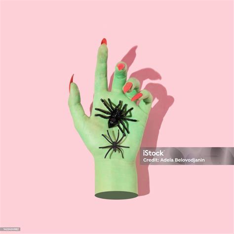파스텔 핑크 배경에 거미를 들고 밝은 분홍색 손톱이있는 녹색 마녀 손이있는 할로윈 창조적 인 레이아웃 미적 휴가 아이디어