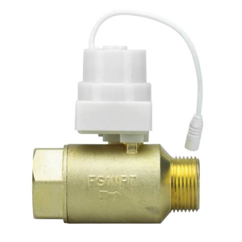 Floodstop 20086fsav1npt 1 Motorized Valve