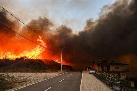 Are We In The Middle Of A Mass Extinction