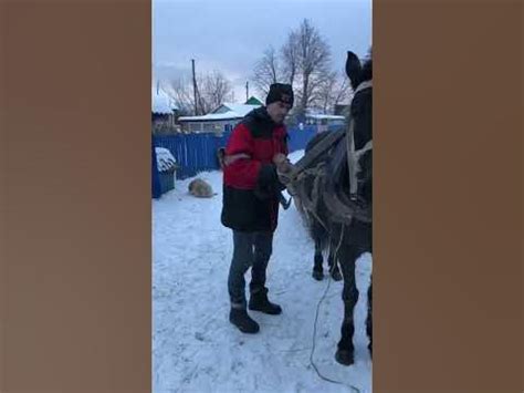 Конь не валялся 😀 - YouTube