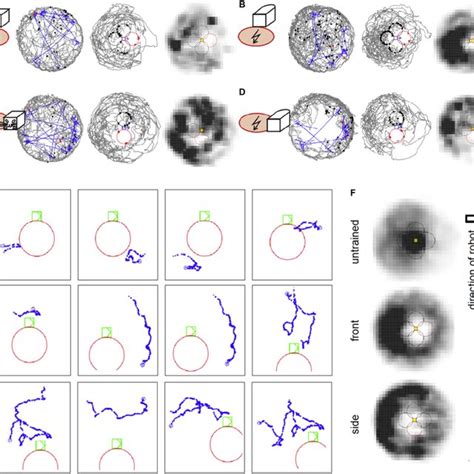 A An Example Session Of Avoidance Of The Shock Zone In Front Of The Download Scientific