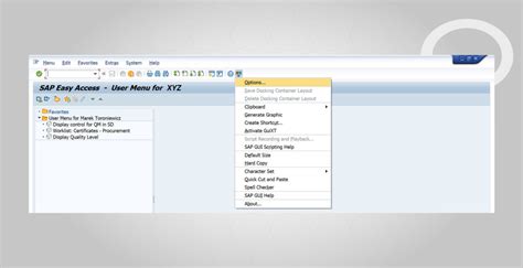 Jak Zmienić Język W Sap Hicron