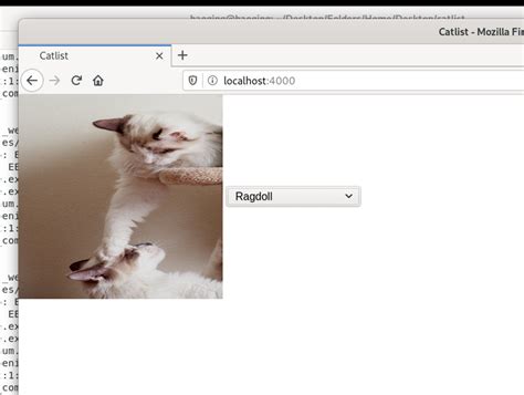 GitHub TereseWang Kitten Lover ProjectPlan