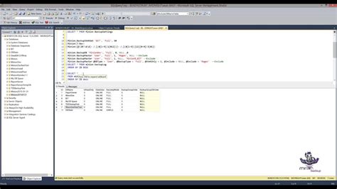 Minion Backup Include Exclude Databases YouTube