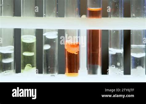 Fermentation Reaction Stock Videos And Footage Hd And 4k Video Clips