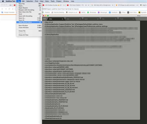 Install Sublime Text Mac Os Holdendex