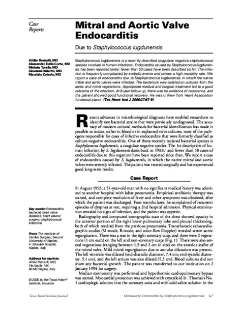 Pdf Staphylococcus Lugdunensis Native Tricuspid Valve Endocarditis A Case Report And Review