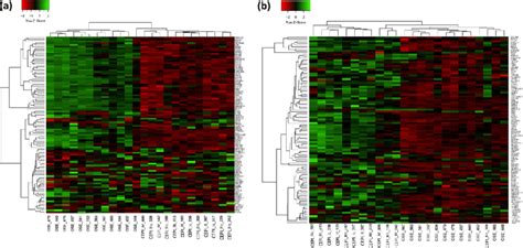 Heat Maps Combined To The Hierarchical Clustering Dendrogram Using The