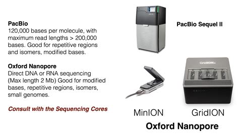 Generating The Data Bioinformatics For Beginners 2022