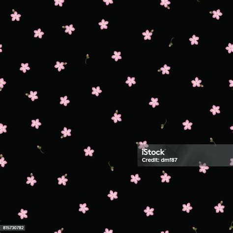 완벽 한 꽃 패턴 물 망 초 꽃 핑크 검은 배경 벡터 Eps 10에 풍부한 부드러운 꽃 패턴 고전 양식에 대한 스톡 벡터 아트 및 기타 이미지 Istock