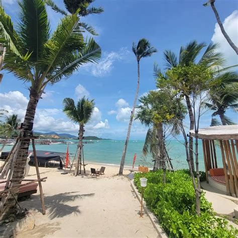 Thai Stars Sing Thai 91 • Threads Say More