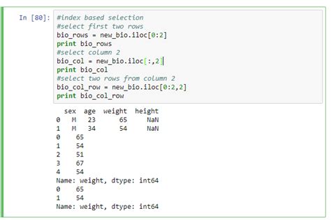 Discover How To Manipulate Data Using Pandas