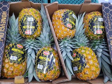 허니글로우 파인애플 1통 배민 장보기∙쇼핑
