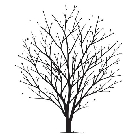 Minimal Autumn Naked Tree Vector Silhouette Vector Art At Vecteezy
