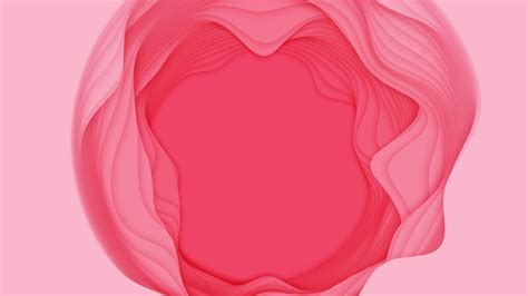 종이 컷 모양 벡터 3d 추상적인 배경입니다 다채로운 빨간색 조각 예술입니다 부드러운 그라데이션 색상으로 종이 공예 영양