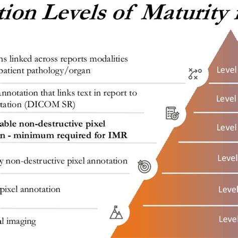 Broad Categories Of Annotation Systems Presented In A Hierarchy Of Download Scientific Diagram