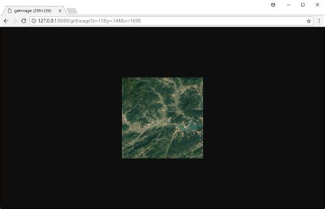 如何在 openlayers 中调用中间件发布的wgs84卫星影像 kml数据和idx数据 csdn博客