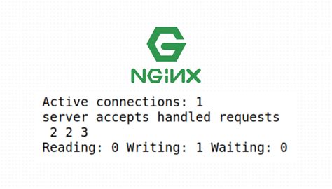 Bật Tính Năng Nginx Status Trên Aapanel