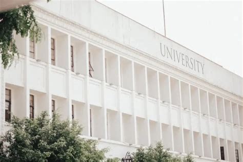 Cairo University Faculty Of Engineering In 2023